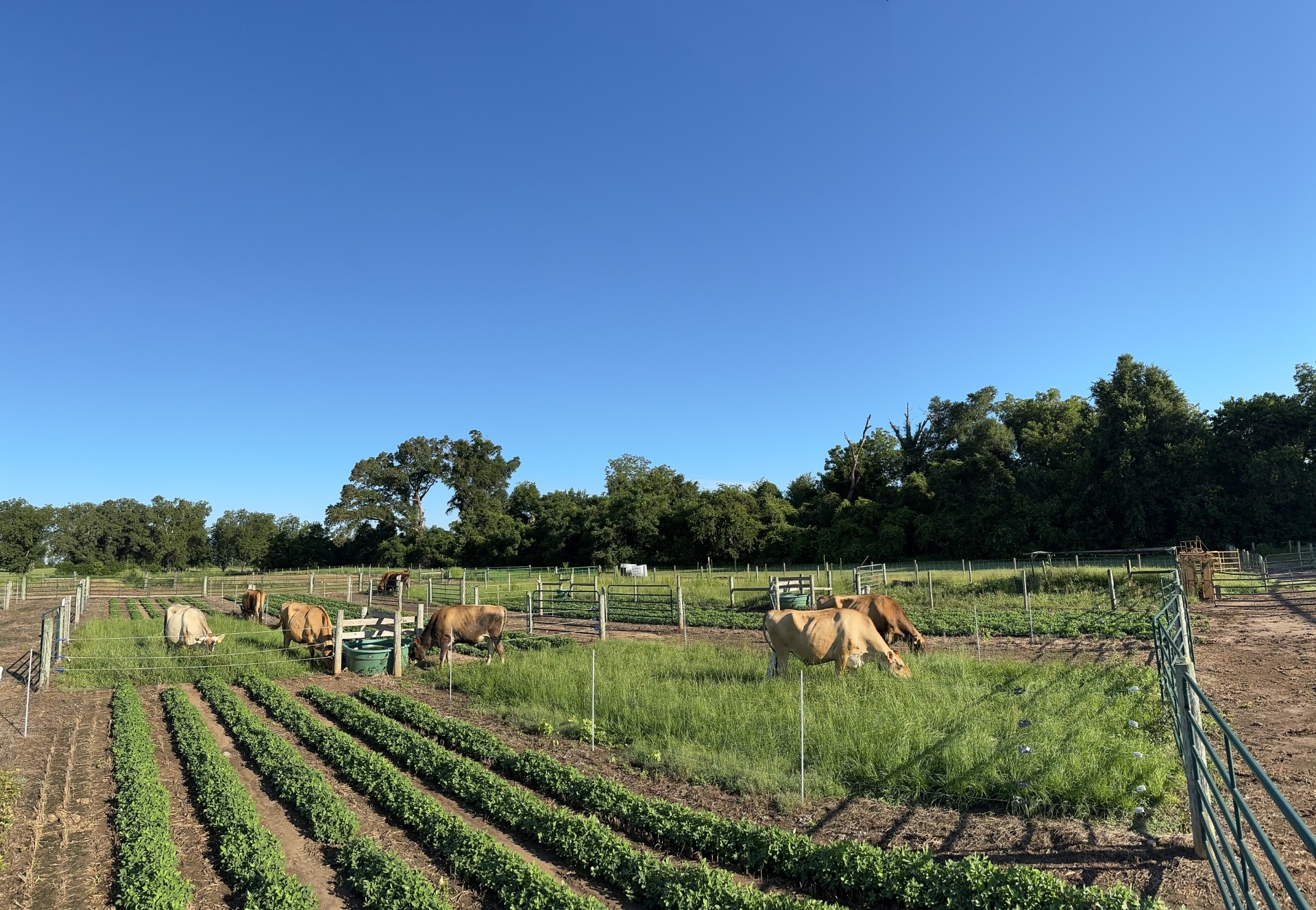 About – Southeast Grazing Exchange